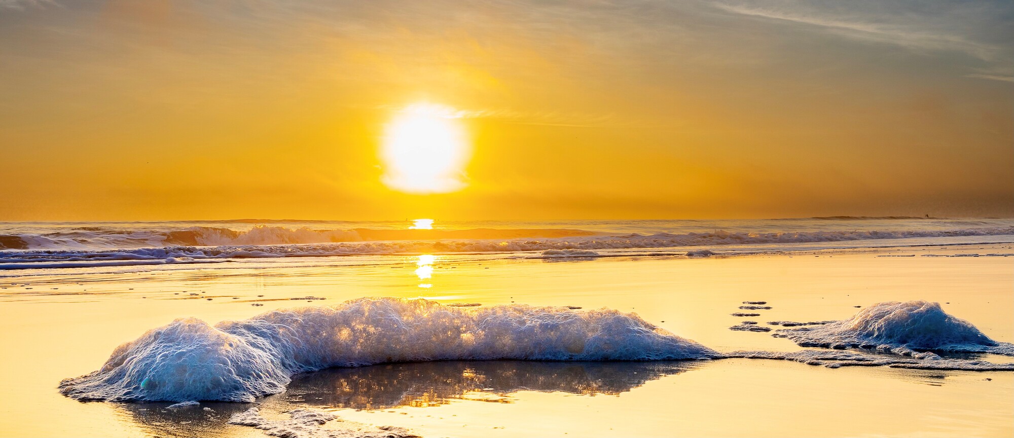 Thomas Financial Group